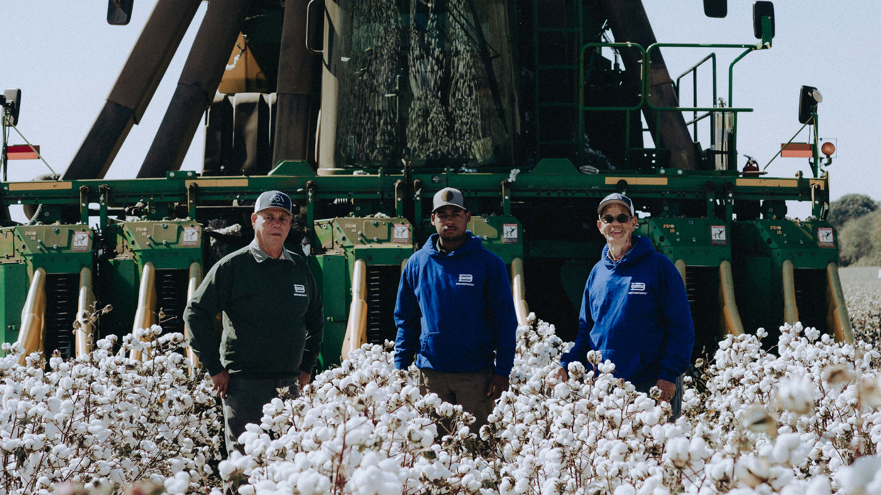 Bridgeforth Farms – Bridgeforth Cotton