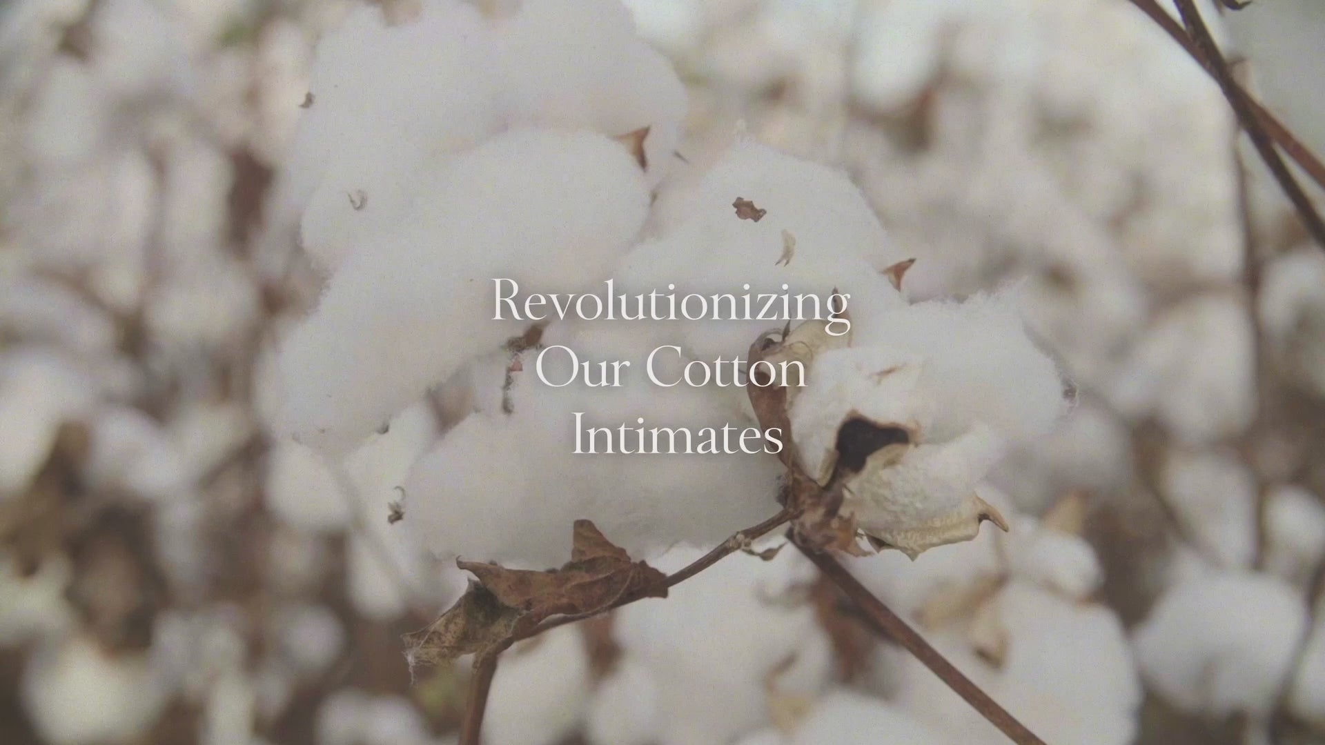 Victoria's Secret – Bridgeforth Cotton